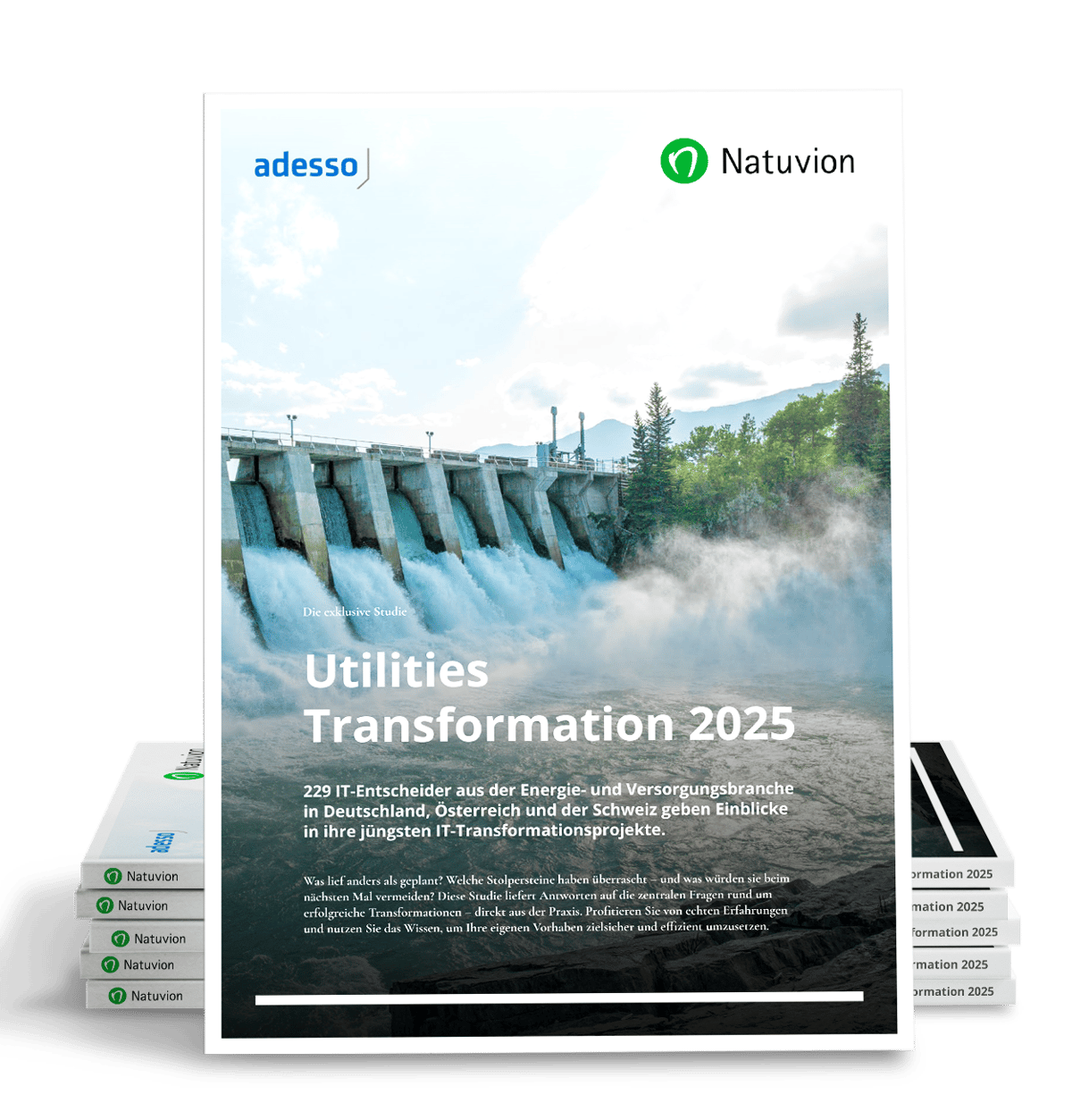 DACH Utilities Transformationsstudie 2025